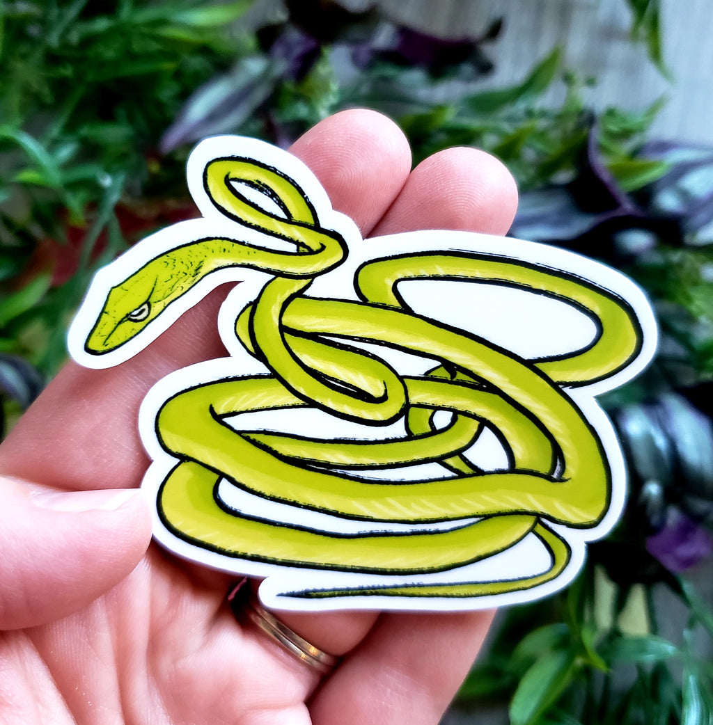 Asian Vine Snake Vinyl Sticker – Garden of Dragons